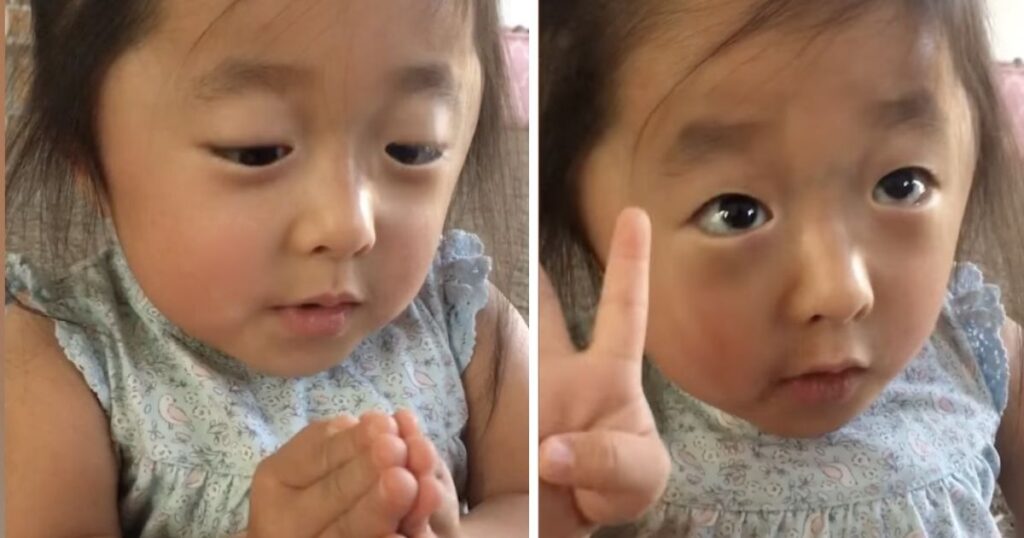 93-Year-Old Grandma & Her Grandson Dress-Up In Ridiculous Outfits, And ...